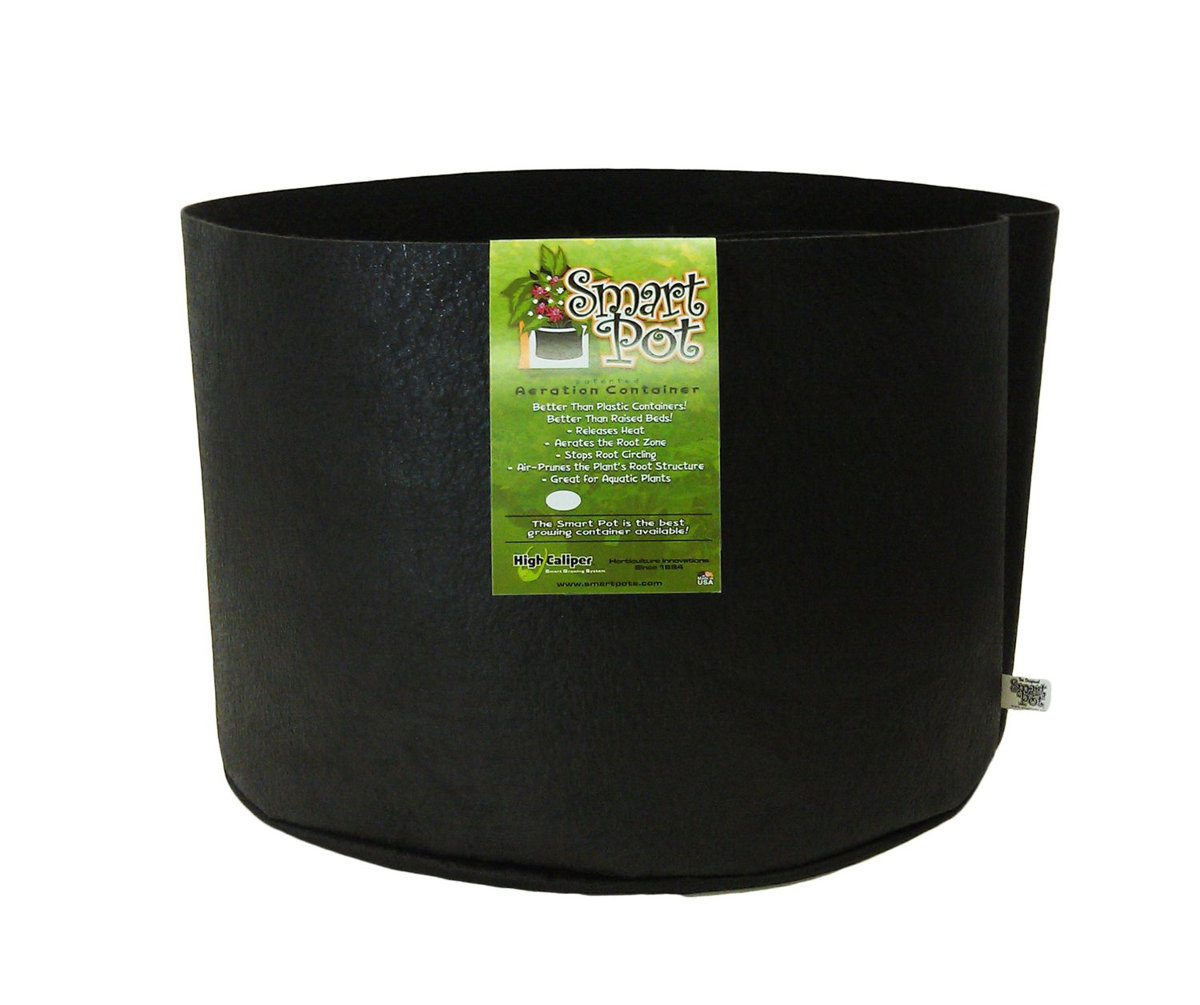 Smart Pot Pot Liner & Reviews | Wayfair