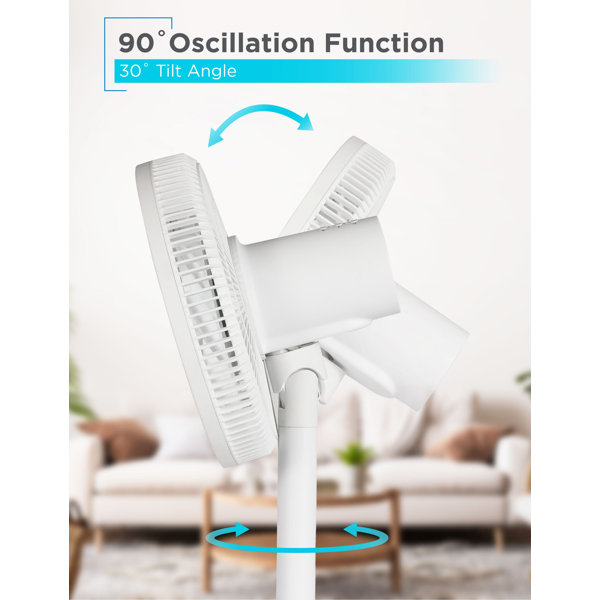 BLACK+DECKER 12-Inch Dual Blade Table Fan with Remote, Desk Fan with ...