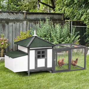 One Allium Way® 77" Wooden Chicken Run With Nesting Zone, Easy Access ...