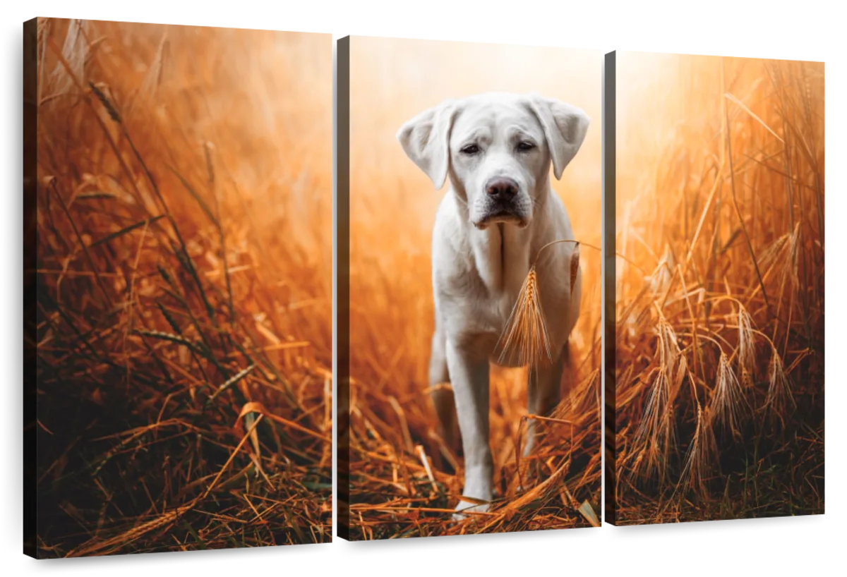 Ebern Designs Lost Labrador Retriever | Wayfair
