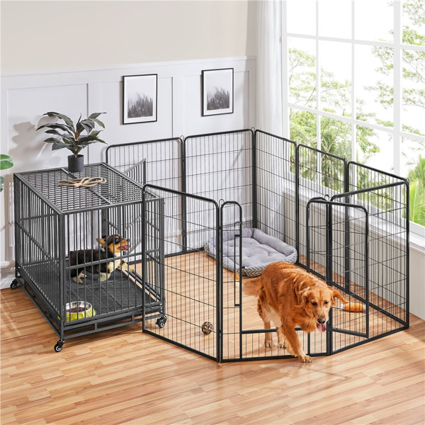 Yaheetech Exercise Dog Pen & Reviews | Wayfair