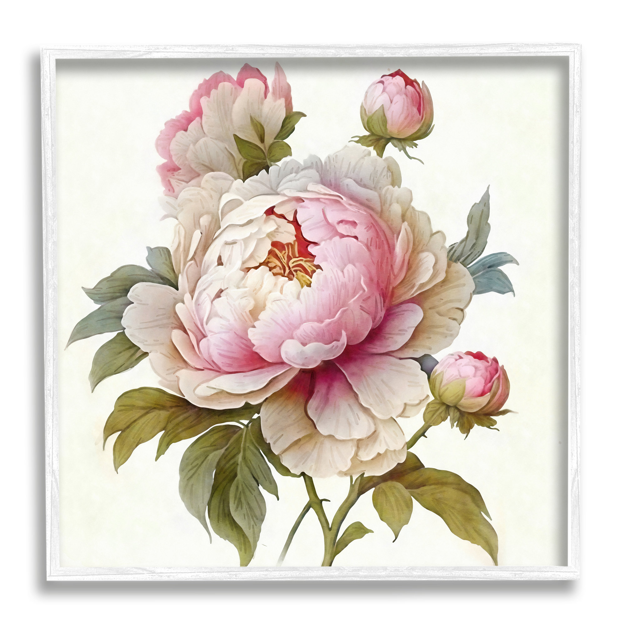 Stupell Industries Detailed Pink Peony Flower Buds Framed On Wood by ...