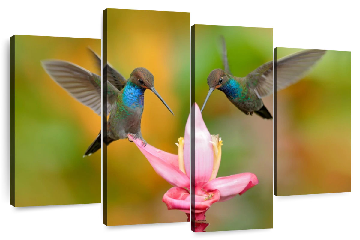 Ebern Designs Brampt White Tailed Hummingbirds | Wayfair