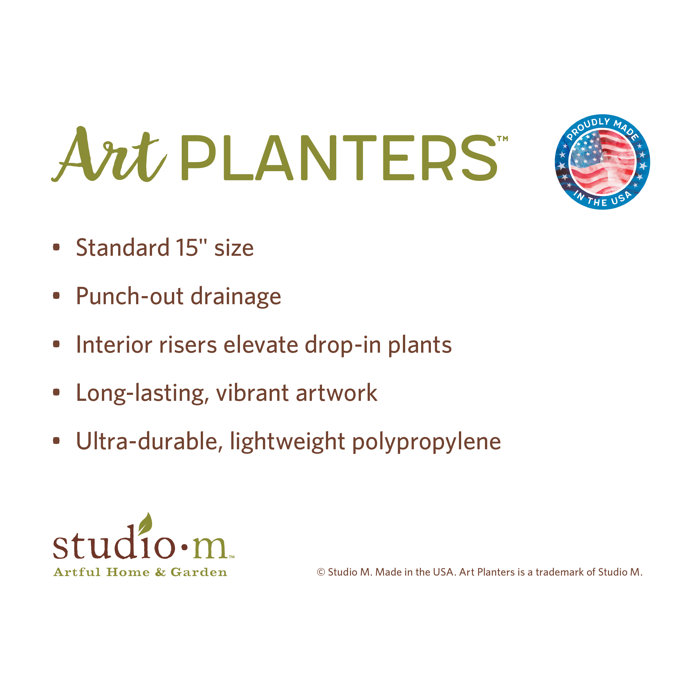 Studio M Pot Planter | Wayfair