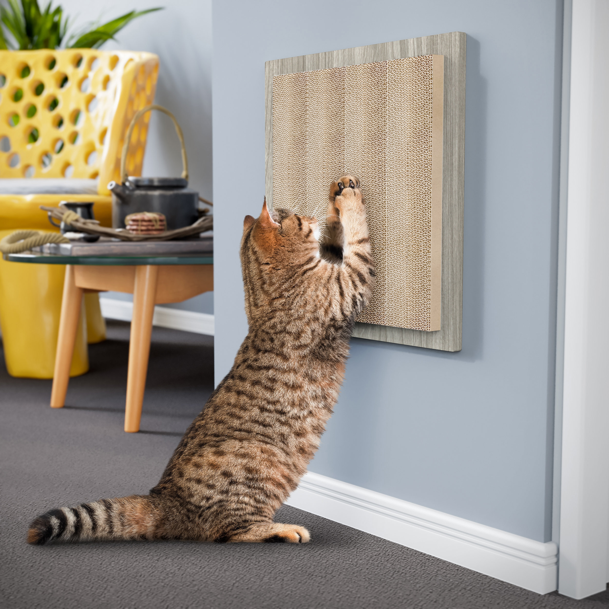 Archie & Oscar™ Michaella Scratching Board & Reviews - Wayfair Canada