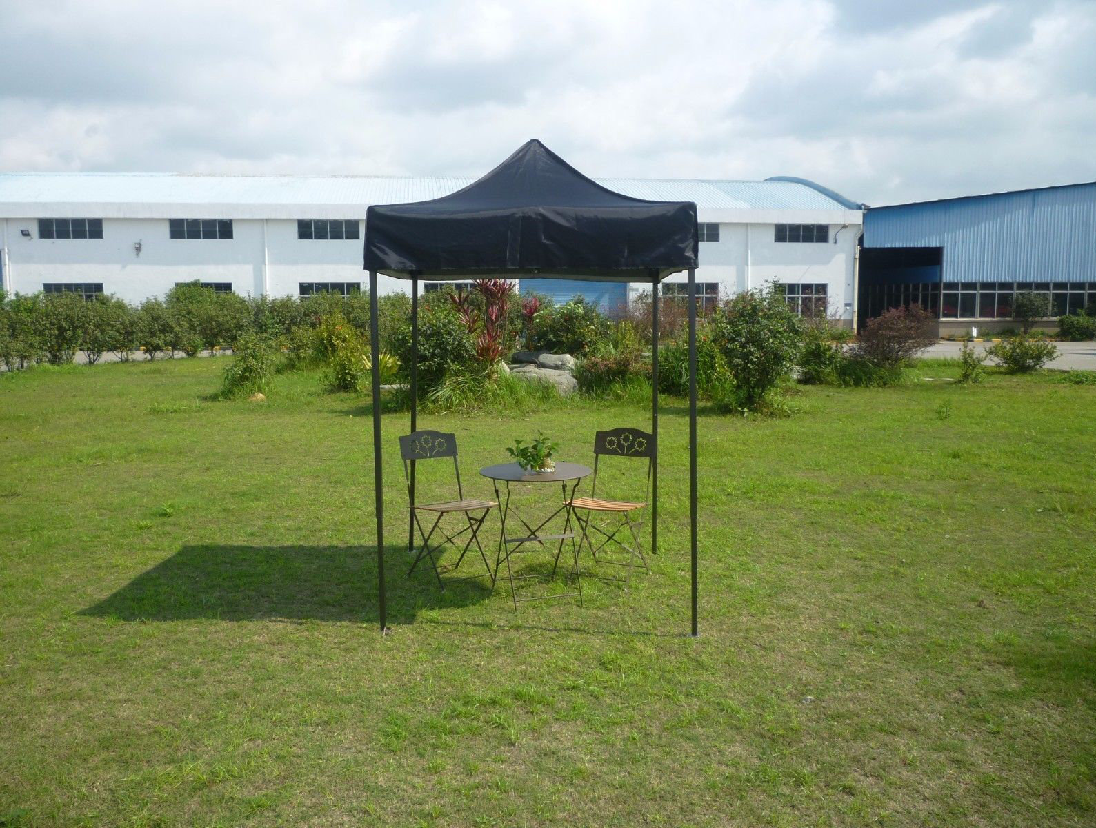 American Phoenix 5 Ft. W x 5 Ft. D Steel Pop-Up Canopy & Reviews | Wayfair