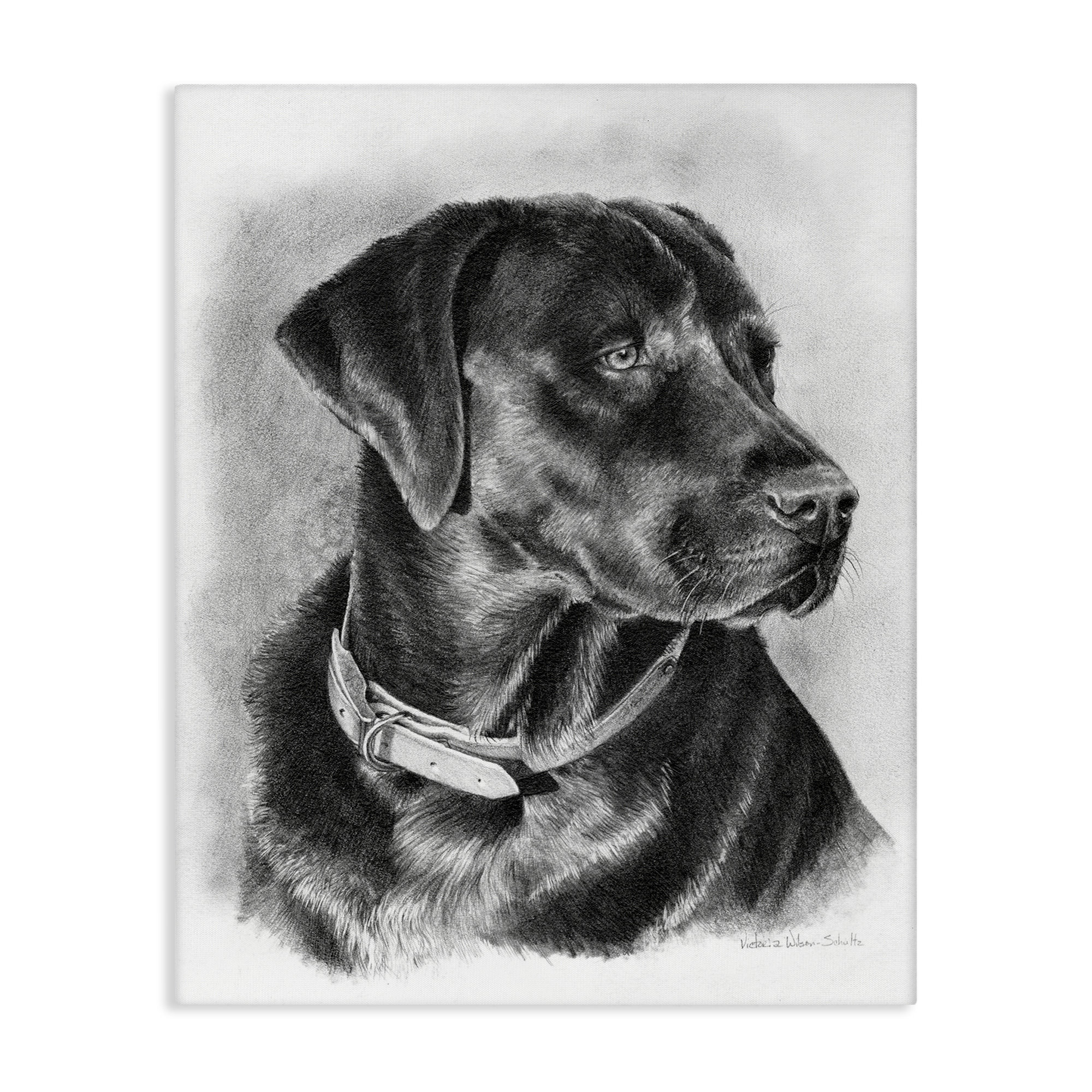 Winston Porter Black Lab Drawing Canvas Wall Art by Victoria Schultz ...