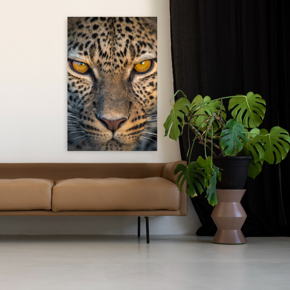 Latitude Run® Leopard Panthera Pardus Ndutu Ngorongoro Conservation ...