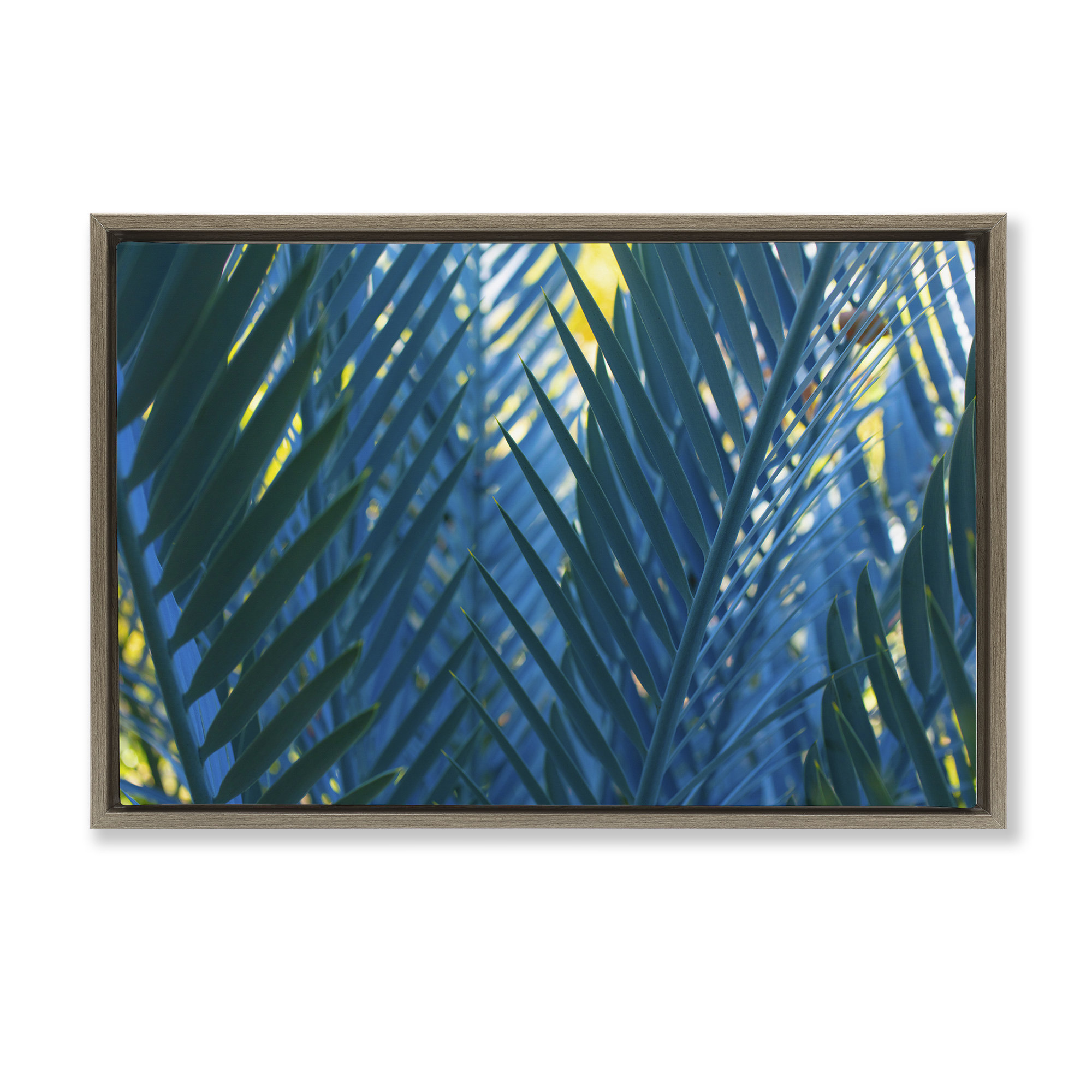 Bay Isle Home™ Blue Palm Fronds Framed Floater Canvas By Carol La Barge ...