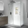 Borealis Julien 48'' W 76'' H Frameless Rectangle Reversible Shower ...