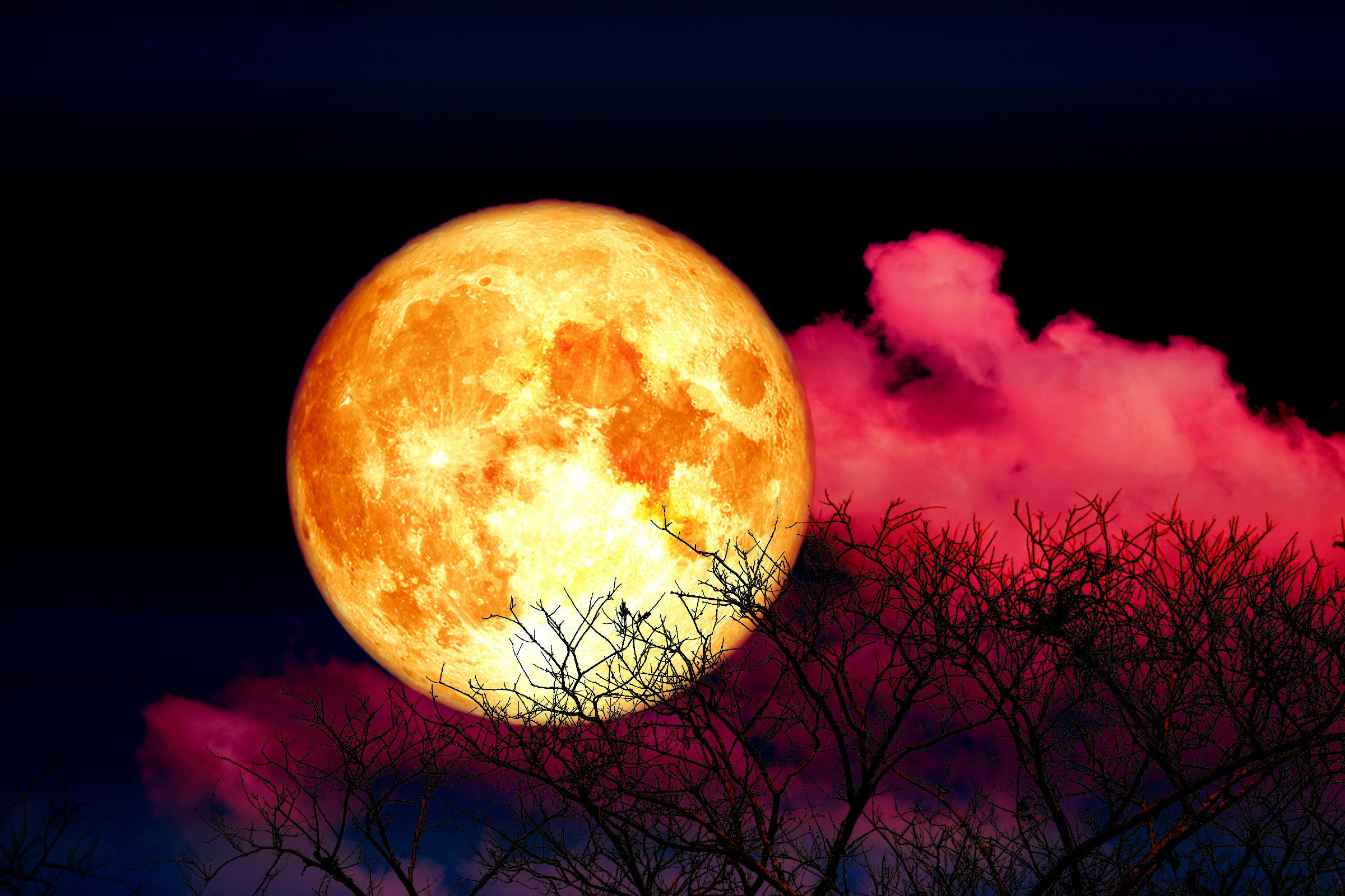 Ebern Designs Full Moon by Chayanan - Wrapped Canvas Photograph | Wayfair