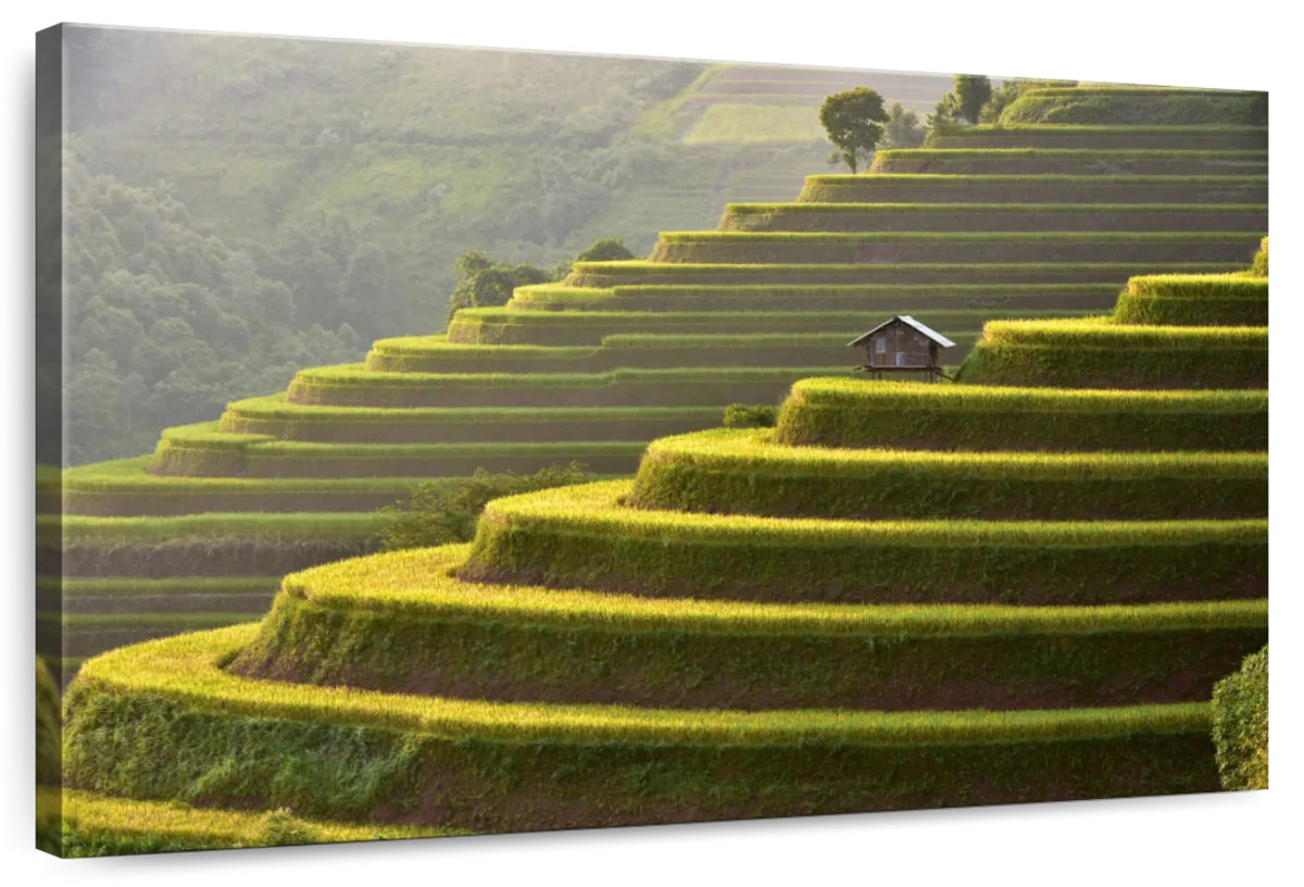 Millwood Pines Alvord Mu Cang Chai Hut | Wayfair