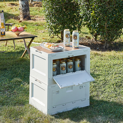 Rebrilliant 2 Pack Plastic Collapsible Storage Bins with Lid ...