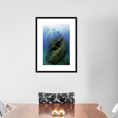 Global Gallery 'Giannis D Wreck.' by Dray Van Beeck Framed Photographic ...