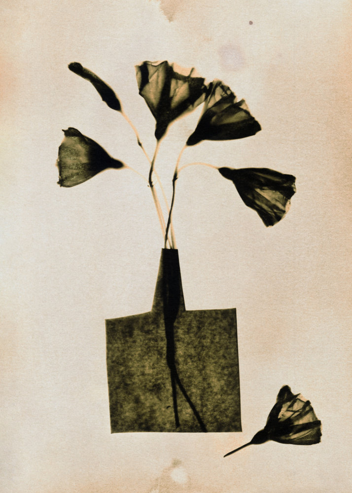 Lark Manor Magic In the Ordinary #8 / Light | Wayfair.co.uk