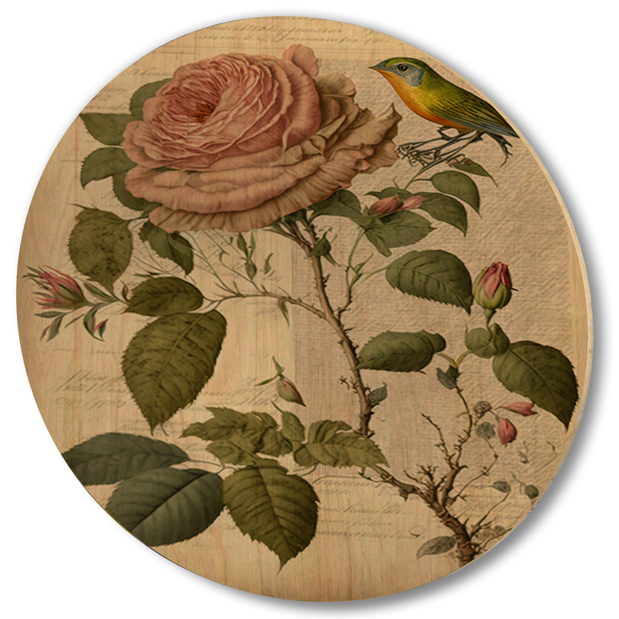 Ophelia & Co. Victorian Retro Pink Rose VII - Floral Rose Print on Wood ...