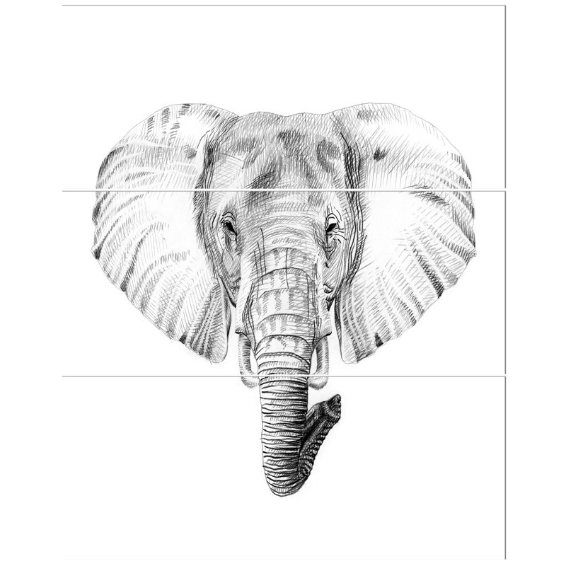how to draw elephant at home
