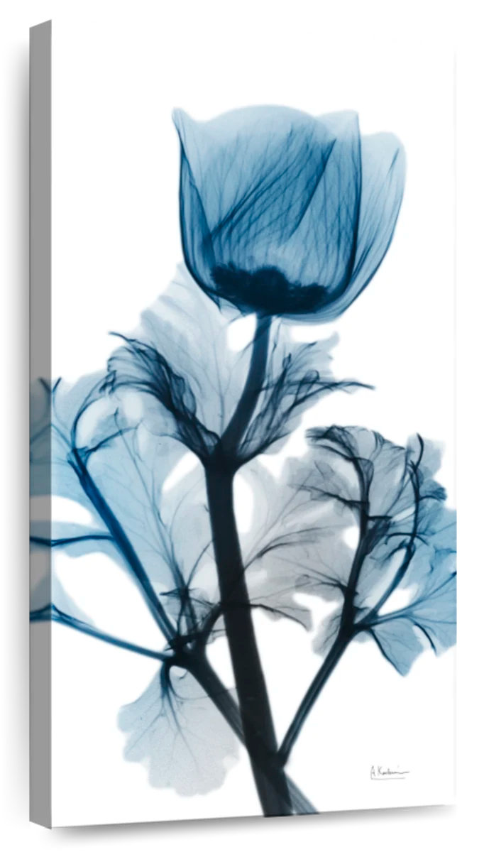 Winston Porter Sapphire Gleam II | Wayfair