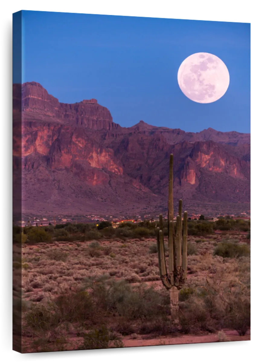 Millwood Pines Alvord Apache Junction Desert | Wayfair