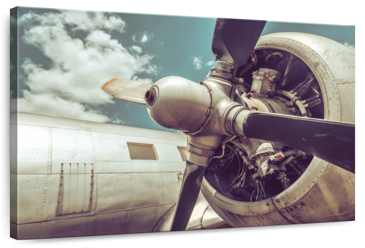 Elephant Stock Vintage Plane Propeller - Wayfair Canada