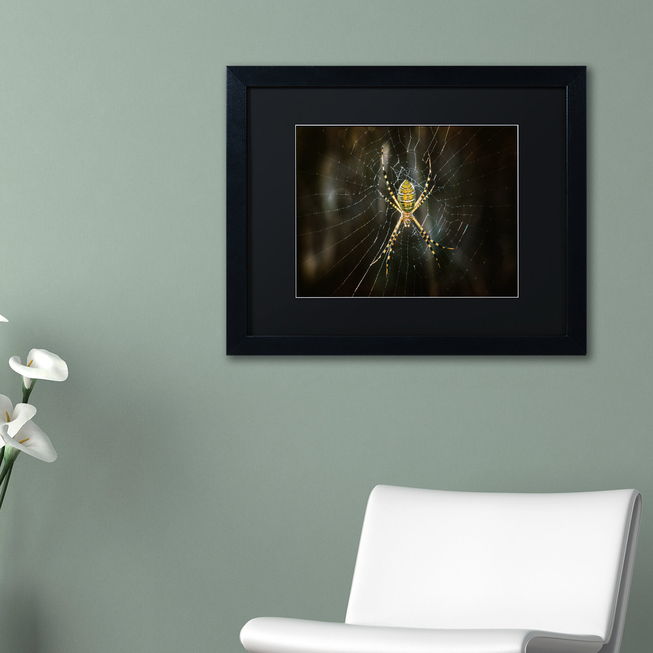 Trademark Art Jason Shaffer " Orb Weaver " by Jason Shaffer | Wayfair
