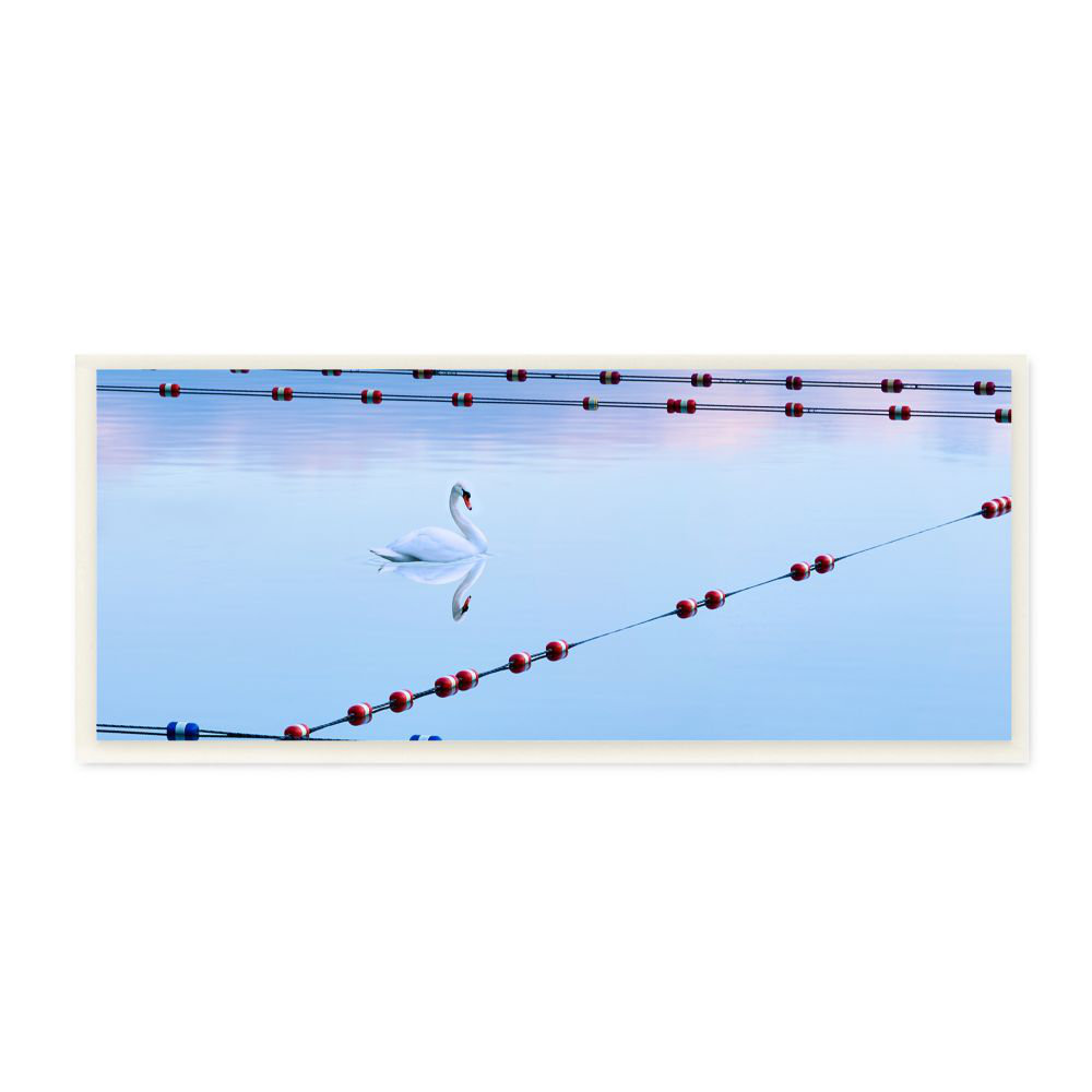 Stupell Industries Swan Resting In Lake With Water Buoy Ropes by James ...