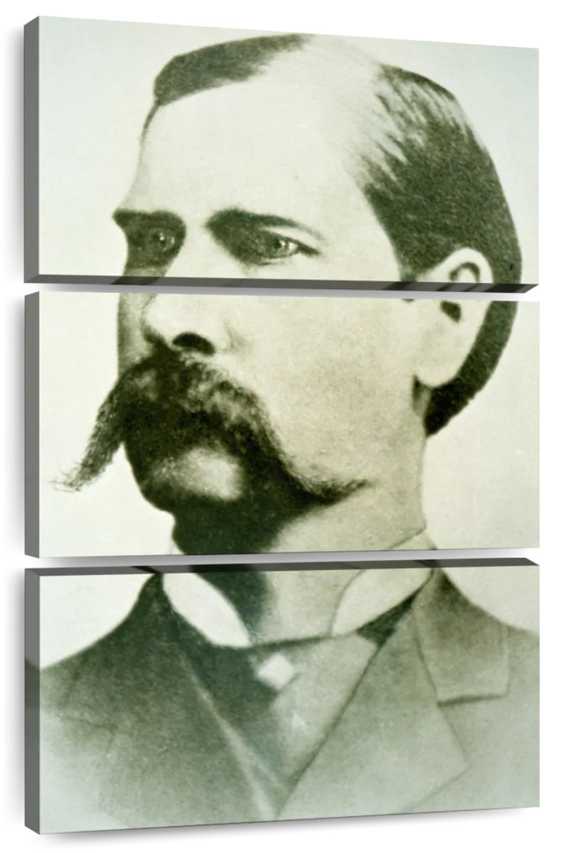 Elephant Stock Wyatt Earp 1886 | Wayfair