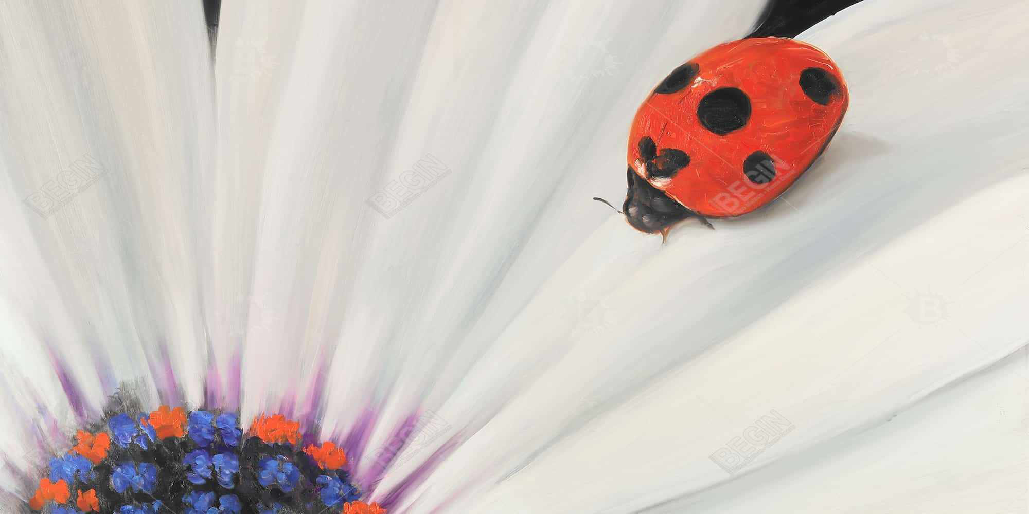 Begin Edition International Inc. White daisy and ladybug - 15.75"x31.50 ...