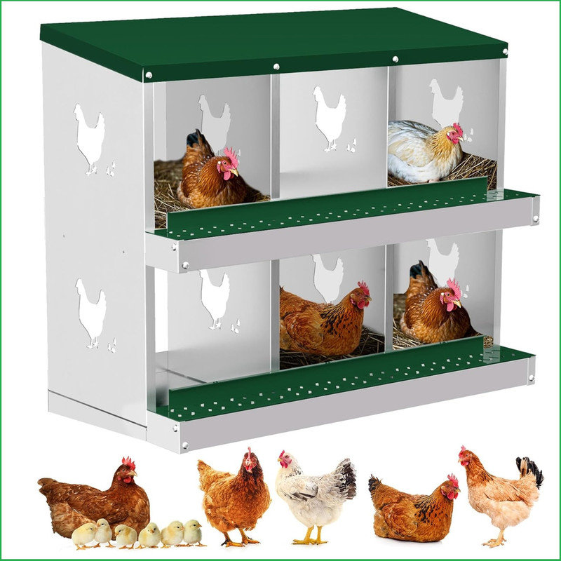 Archie & Oscar™ Chicken Nesting Box 6/8/10 Compartments Laying Boxes ...