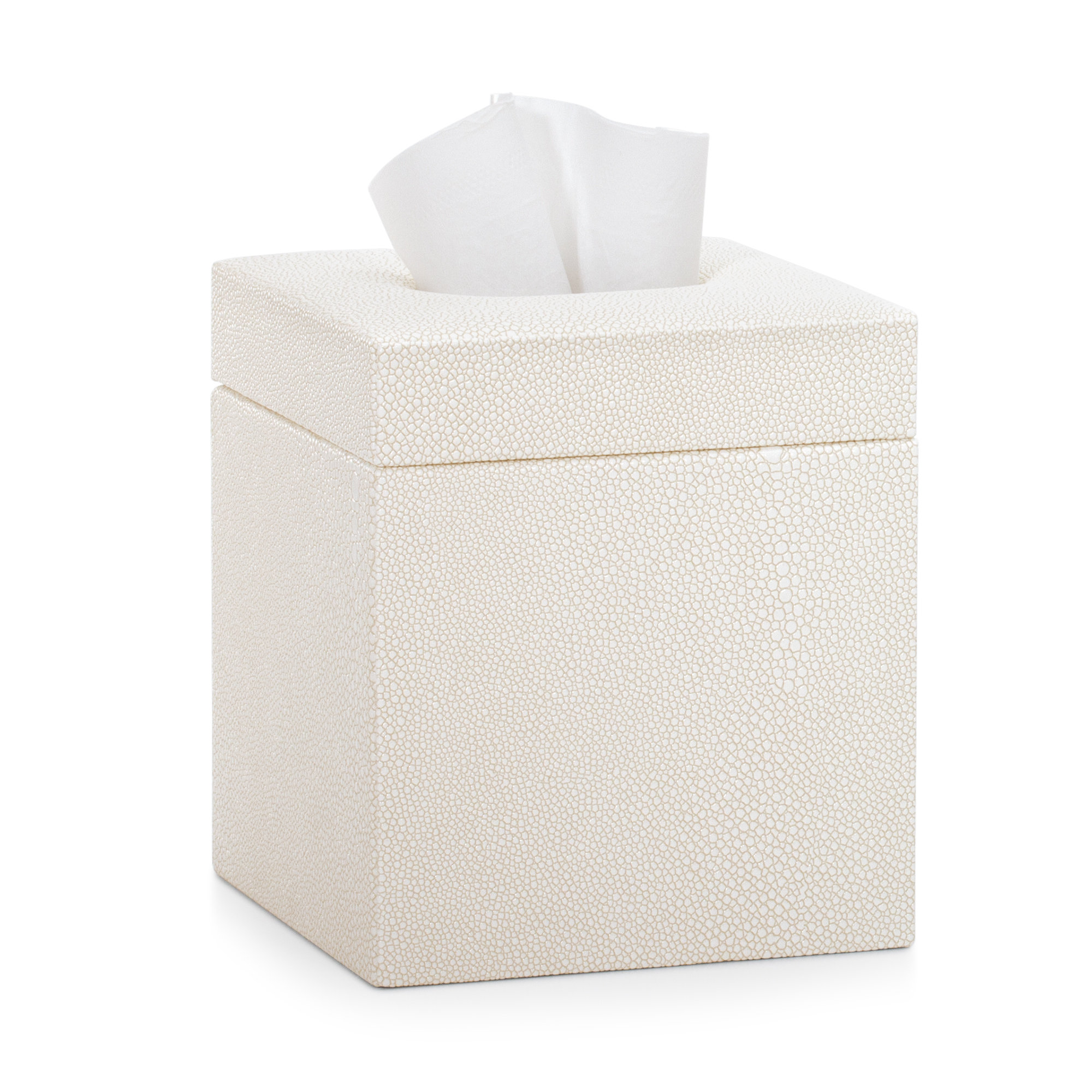 Labrazel Raye Ivory Tissue Cover | Wayfair