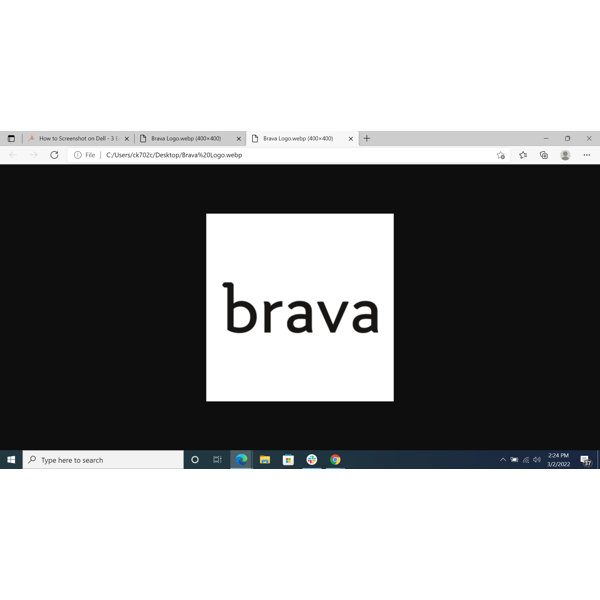 Brava - Wayfair Canada