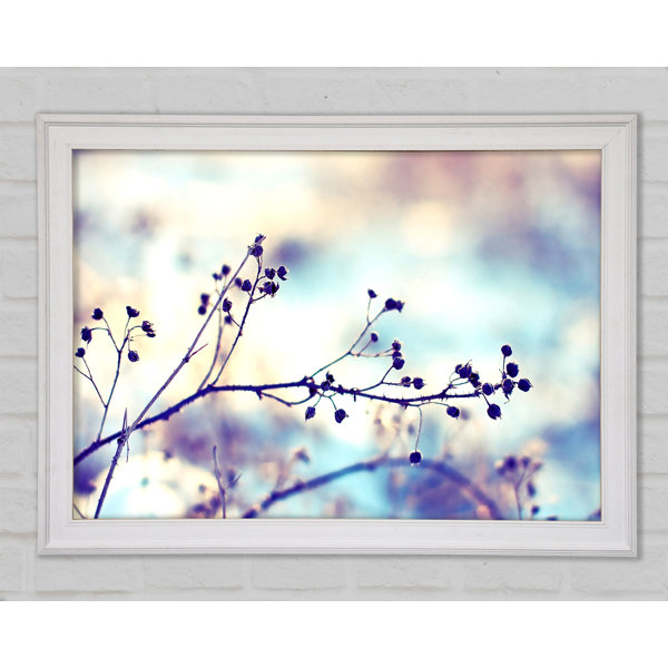 Bright Star Spikey Twigs With Berries - Single Picture Frame Art Prints ...