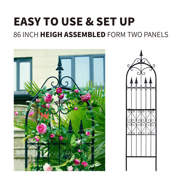 Red Barrel Studio® Anzavia 86'' H x 21.7'' W Iron Garden Trellis for ...