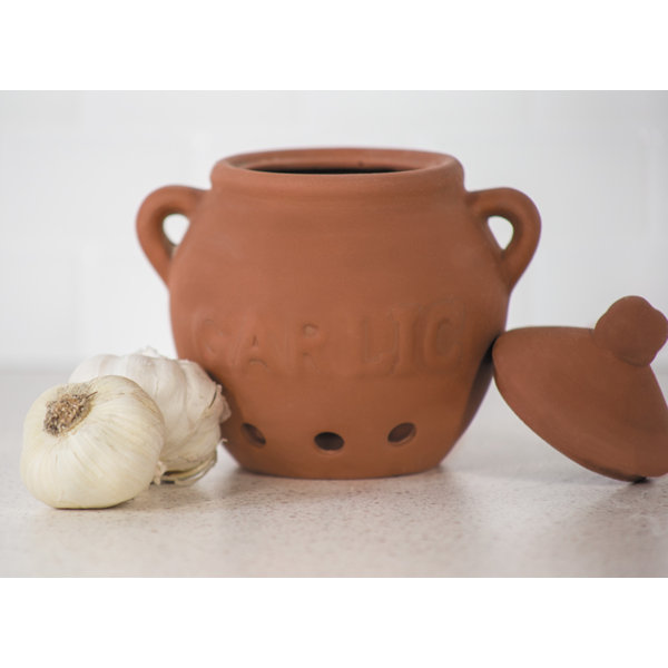 Rebrilliant Garlic Storage Jar & Reviews | Wayfair