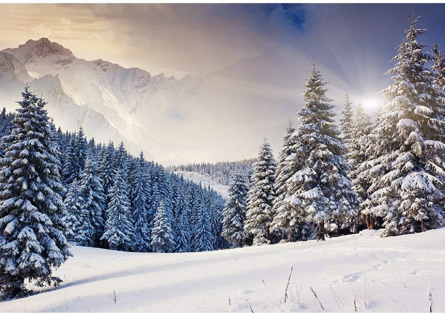 IDEA4WALL Winter Landscape Overcast Sky Wall Mural | Wayfair