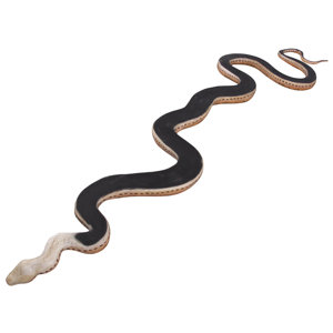 Design Toscano Giant Burmese Python Snake Statue | Wayfair