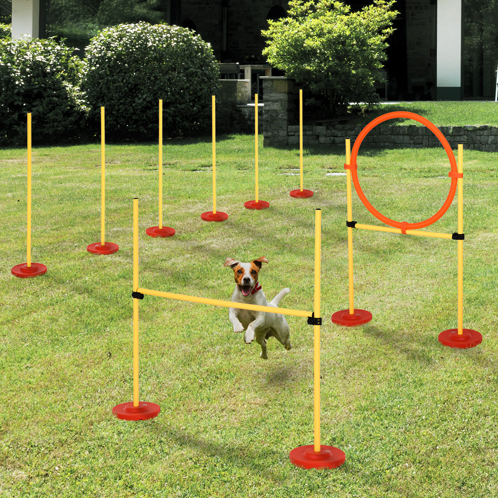 Pawhut 3 Piece Pet Agility Training Obstacle Set & Reviews - Wayfair Canada