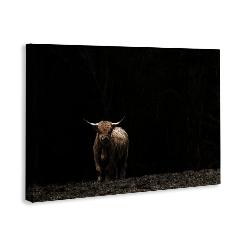 Trinx Dark Contrast Highland Cow Canvas Wall Art by Nathan Larson | Wayfair