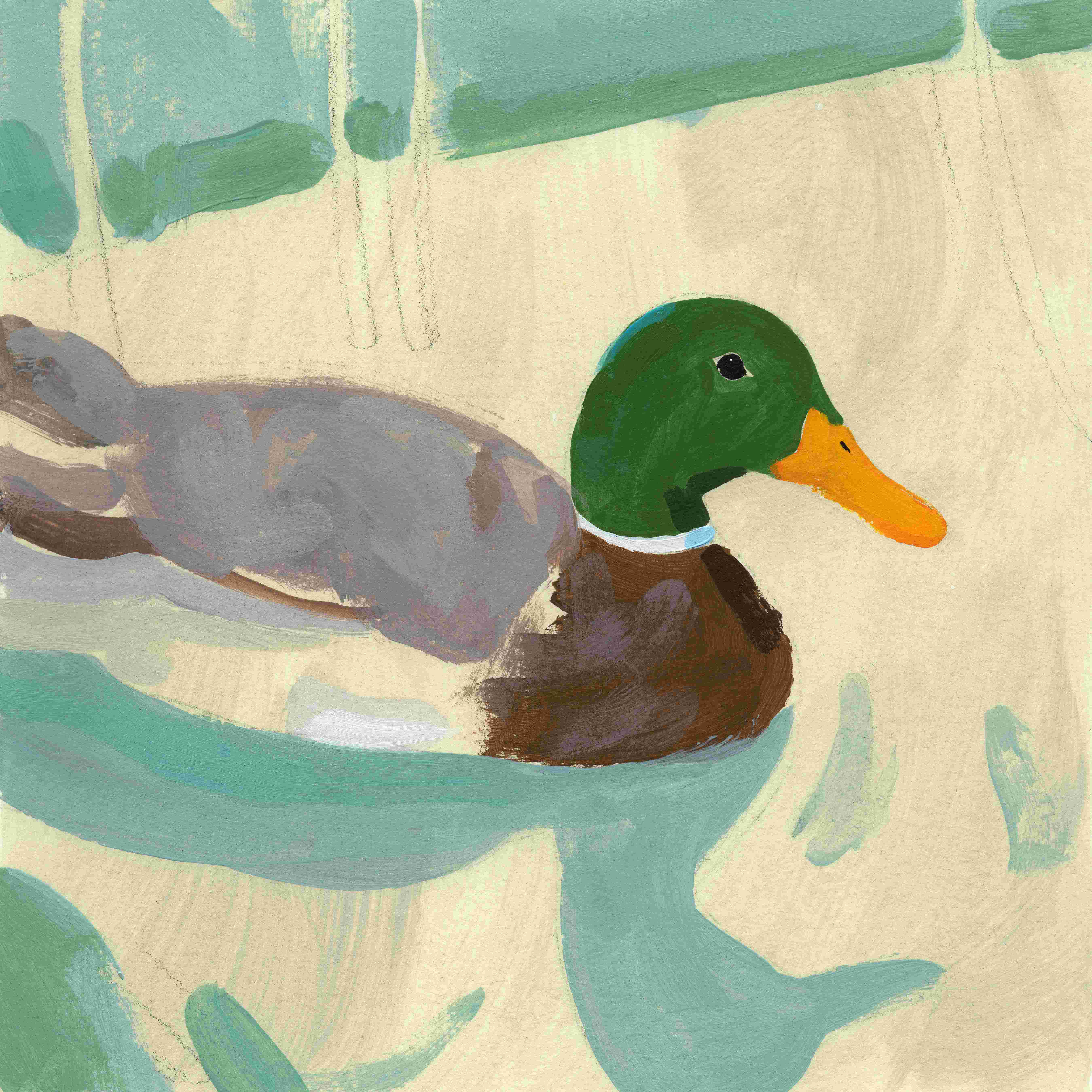 August Grove® Bathing Mallard I by Jacob Green - Wrapped Canvas ...
