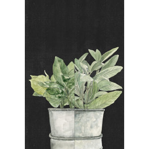 ClassicLiving Potted Plants - Wrapped Canvas Graphic Art | Wayfair.ie