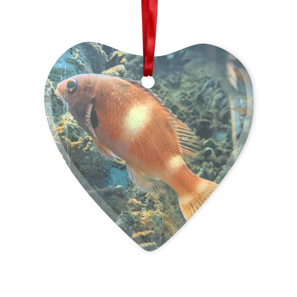 The Holiday Aisle® Fish Scene Holiday Shaped Ornament | Wayfair