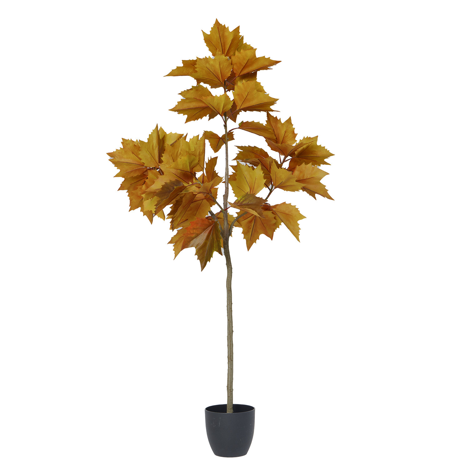 Primrue 63" Vintage Real Touch Maple leaf tree with large beautiful ...