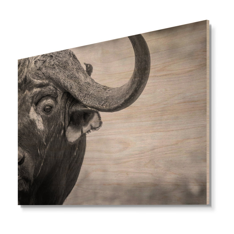 Union Rustic " Monochrome Portrait Of Buffalo III " on Wood - Wayfair ...