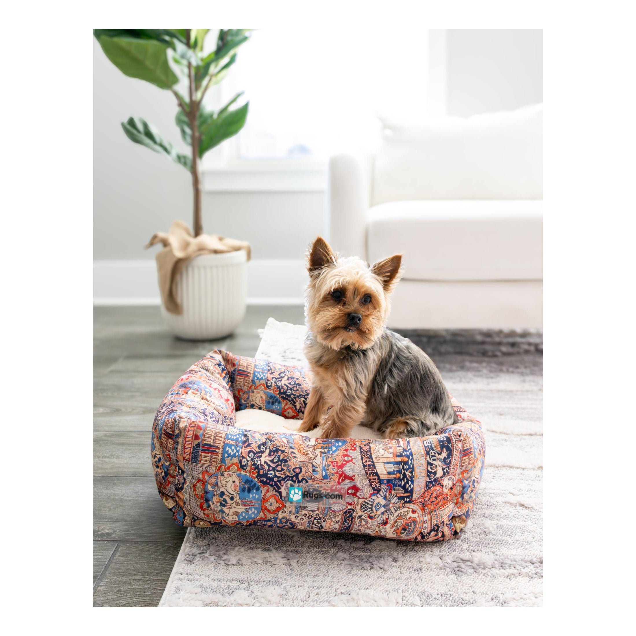 Rugs.com Sarbi Premium Pet Bed Rug | Wayfair