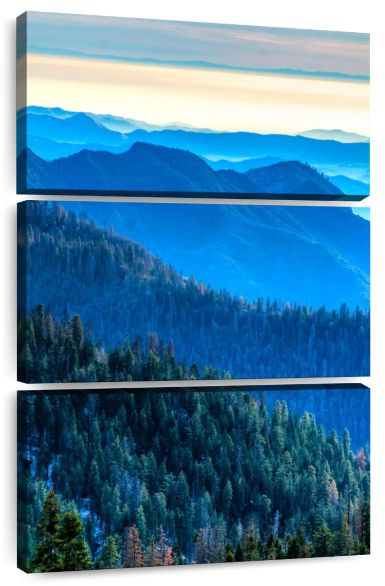 Millwood Pines Alvord Sequoia National Park Blue Hour | Wayfair