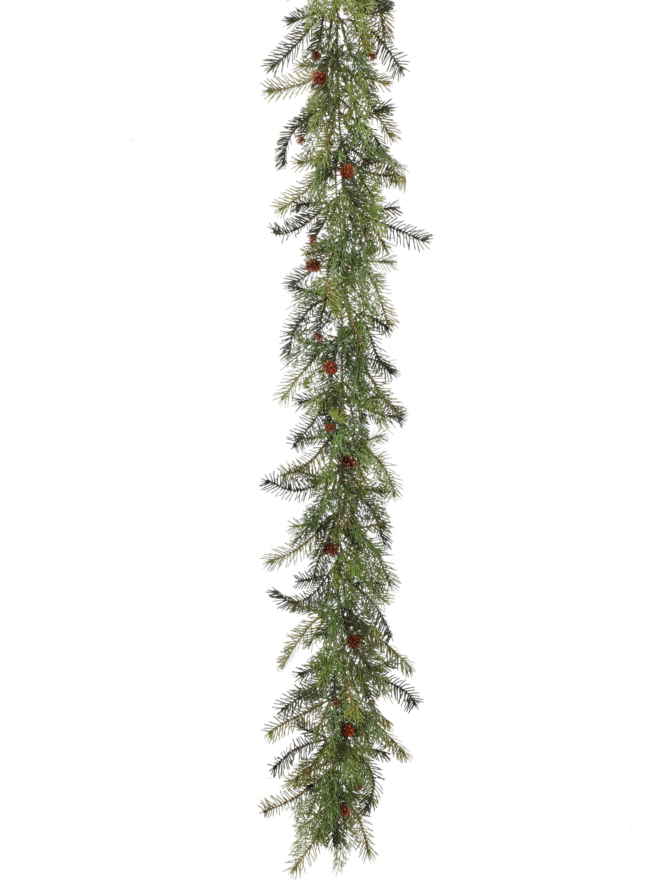 Regency International 6' Garland | Wayfair
