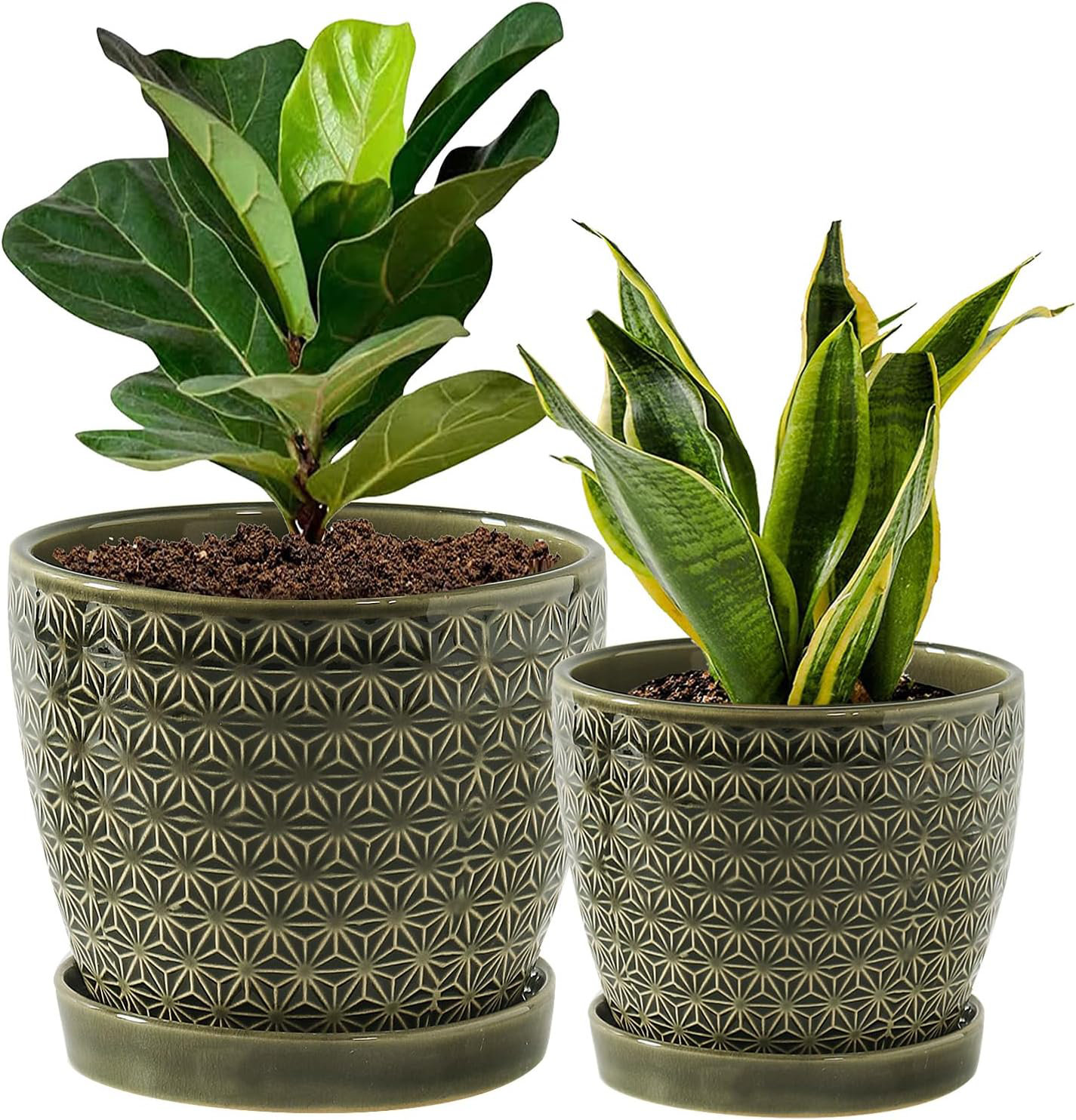 Winston Porter Set Of 2 Green Ceramic Pots (6.5"+5.5") With Drainage ...