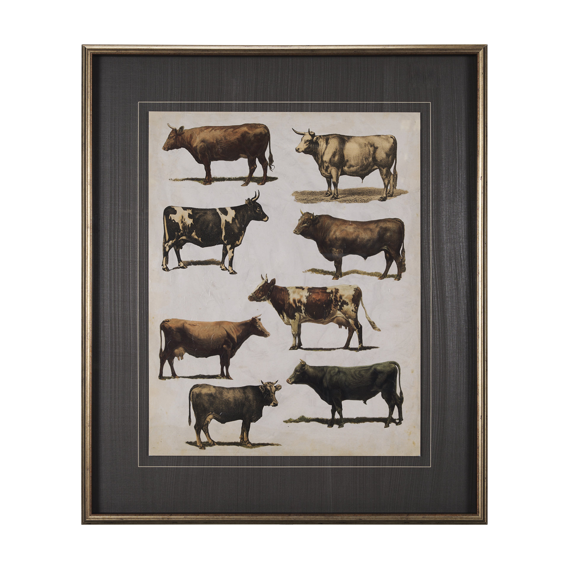 Rosalind Wheeler " Antique Cow Chart " | Wayfair