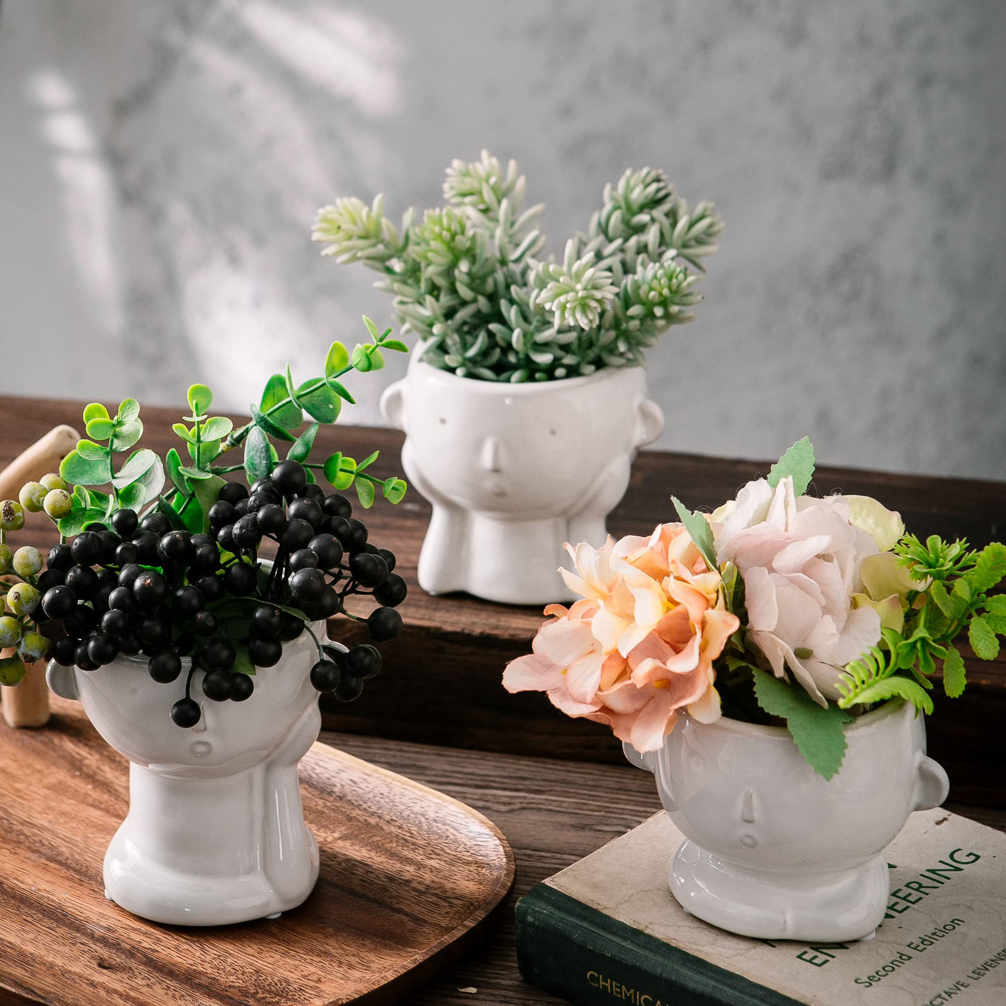 Ivy Bronx Ceramic Flower Pot Modern Style Vase Cute Fleshy Flower Vase ...