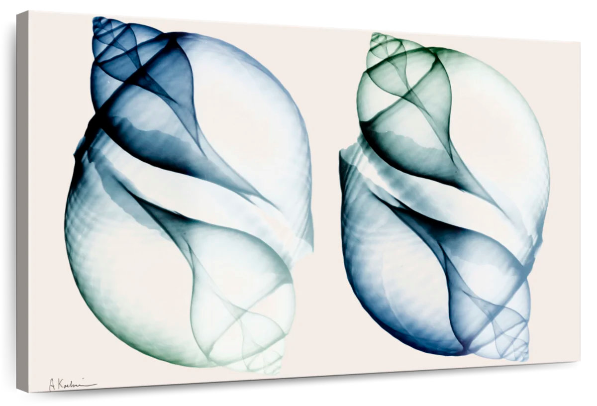 Breakwater Bay Aletra Split Breeze II | Wayfair